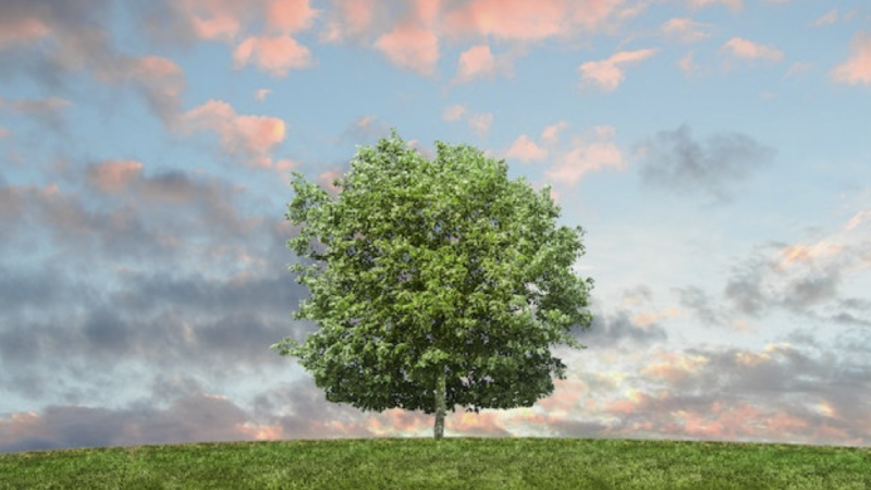 The Trouble Tree: A Clever Way to Destress - NowWithPurpose